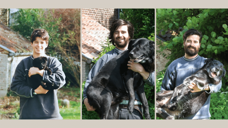 10 Emotional Dog Stories That Will Touch Your Soul