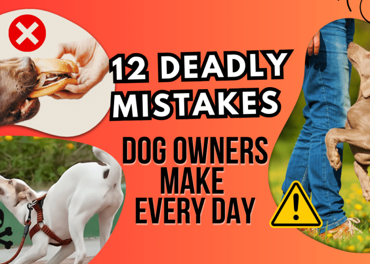 10 Deadly Dog Diseases You Might Be Ignoring Until It’s Too Late