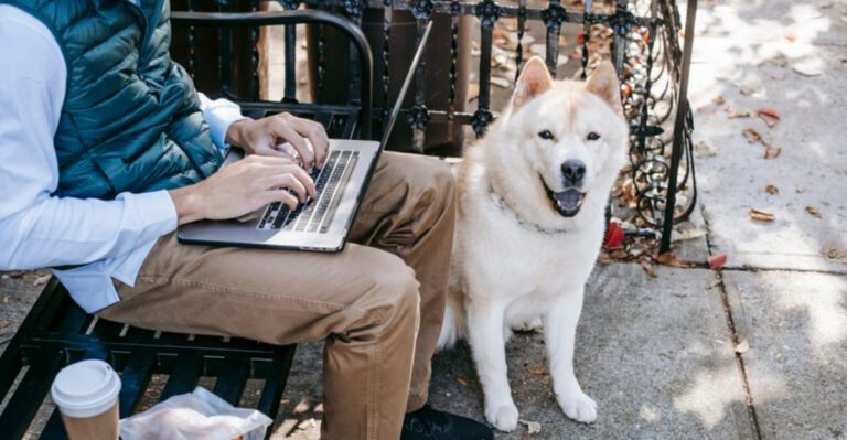 13 dogs that may not mix well with smaller pets - and 3 that require ...